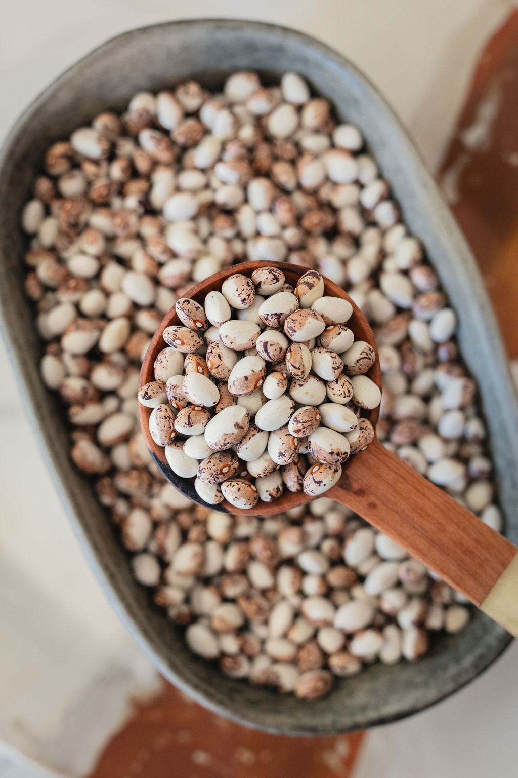 Papa De Rola Beans – Small Town Specialties