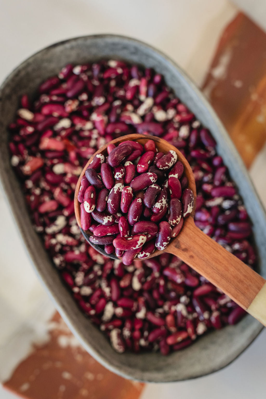 Jacob's Pink Bean Grown in the USA – Small Town Specialties