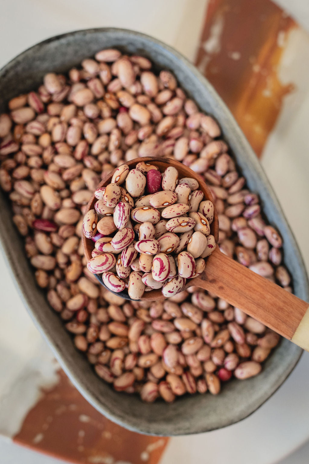 California Cranberry Bean – Small Town Specialties