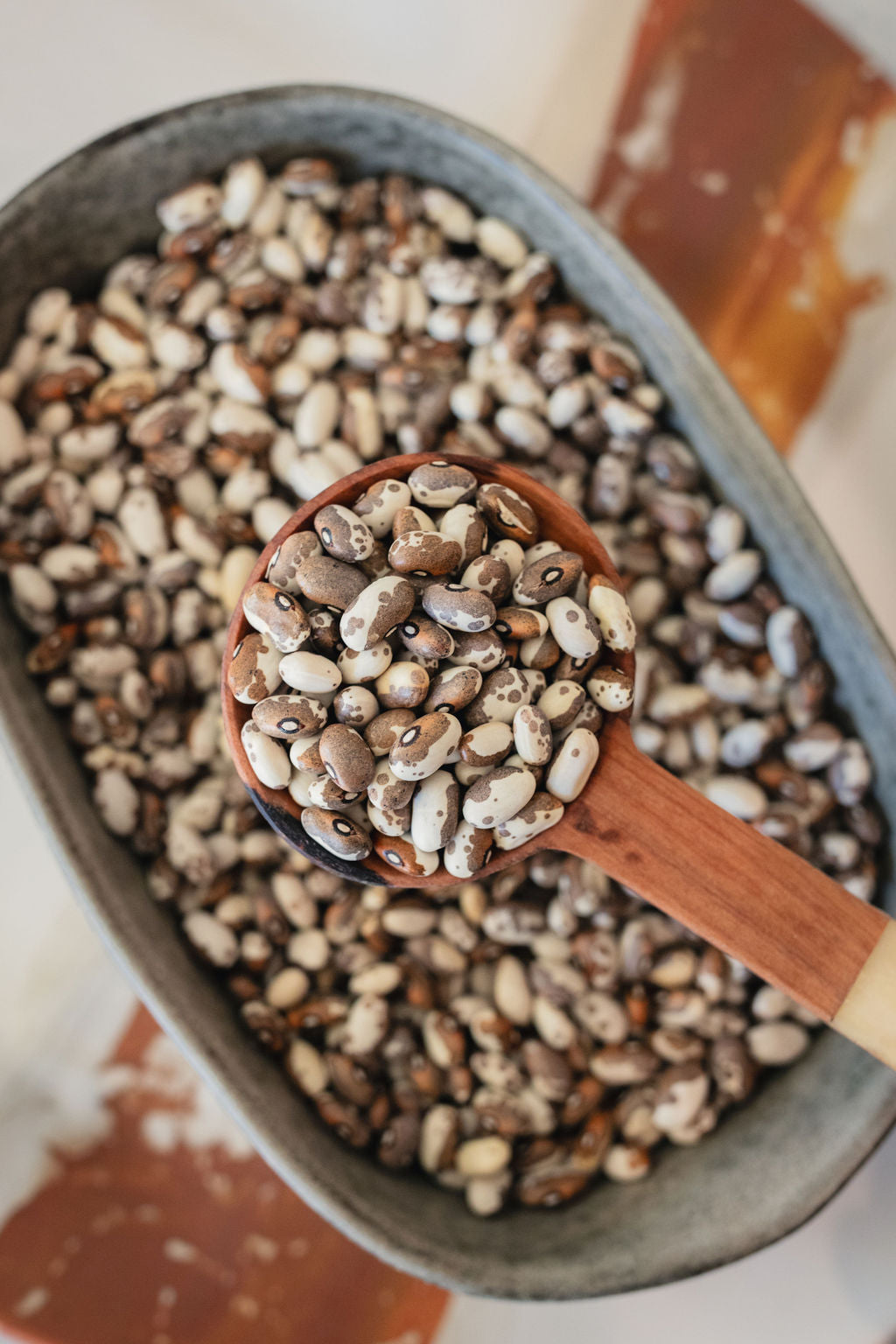 Heirloom Dapple Grey Beans – Small Town Specialties